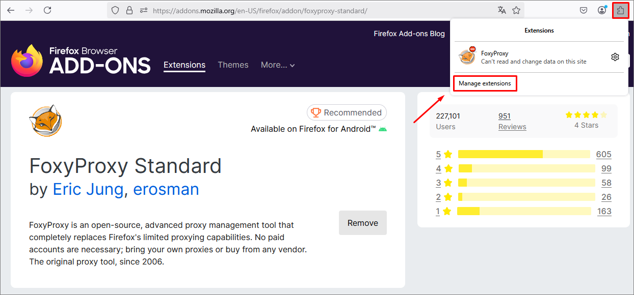 Connecting to a Proxy in Mozilla Firefox