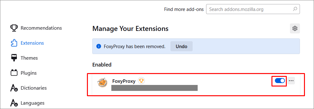 Connecting to a Proxy in Mozilla Firefox